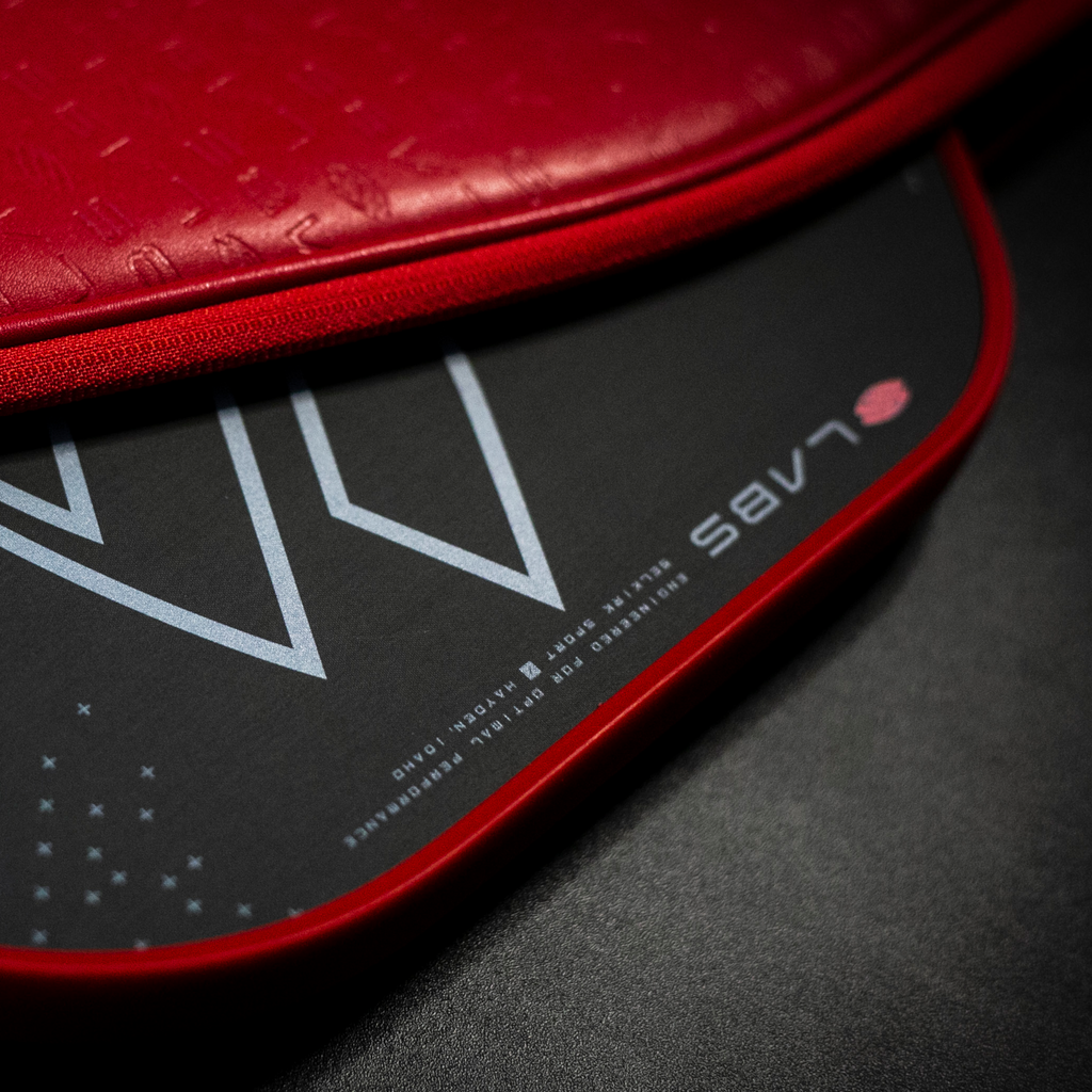 How the Selkirk LABS Project 005 pickleball paddle evolved into the ...